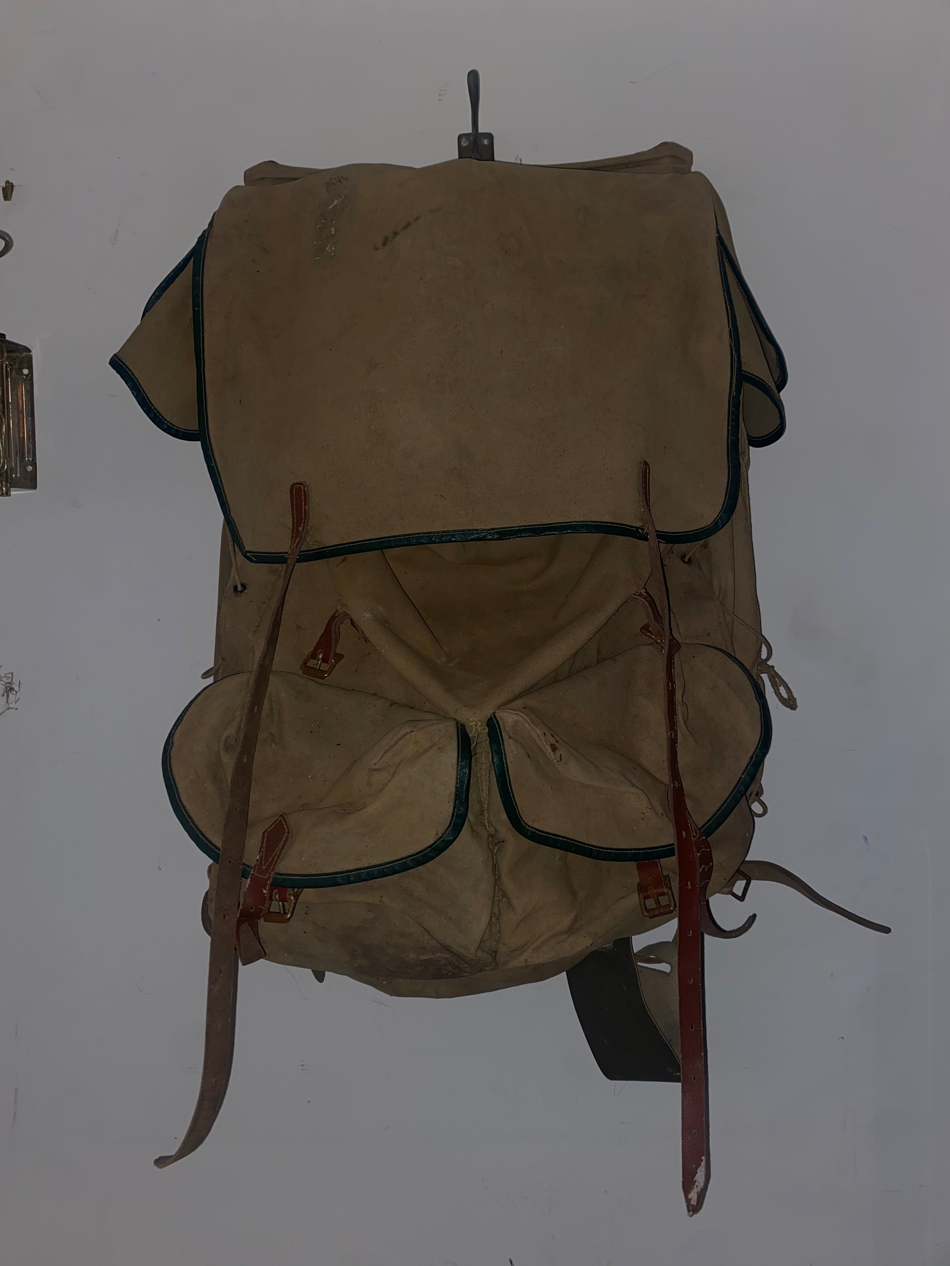 The Podcast – The Cryptid Factor