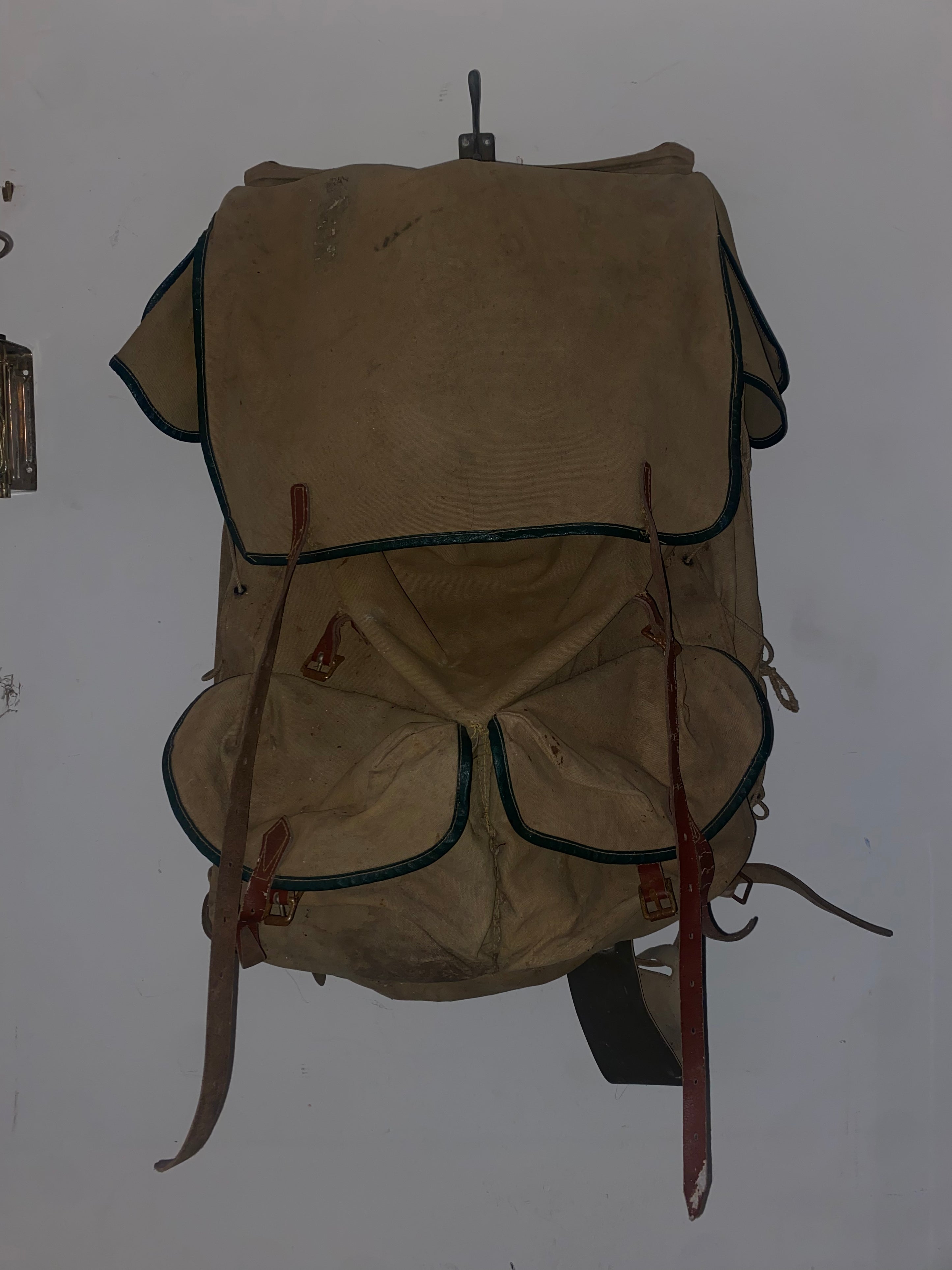 The Podcast – The Cryptid Factor